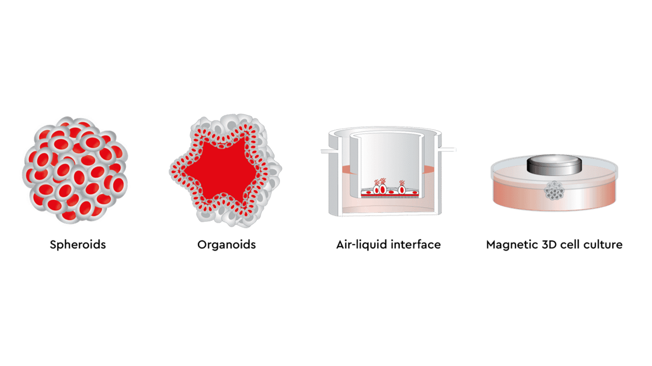 3D cellekultur med PromoCell - Inter Instrument